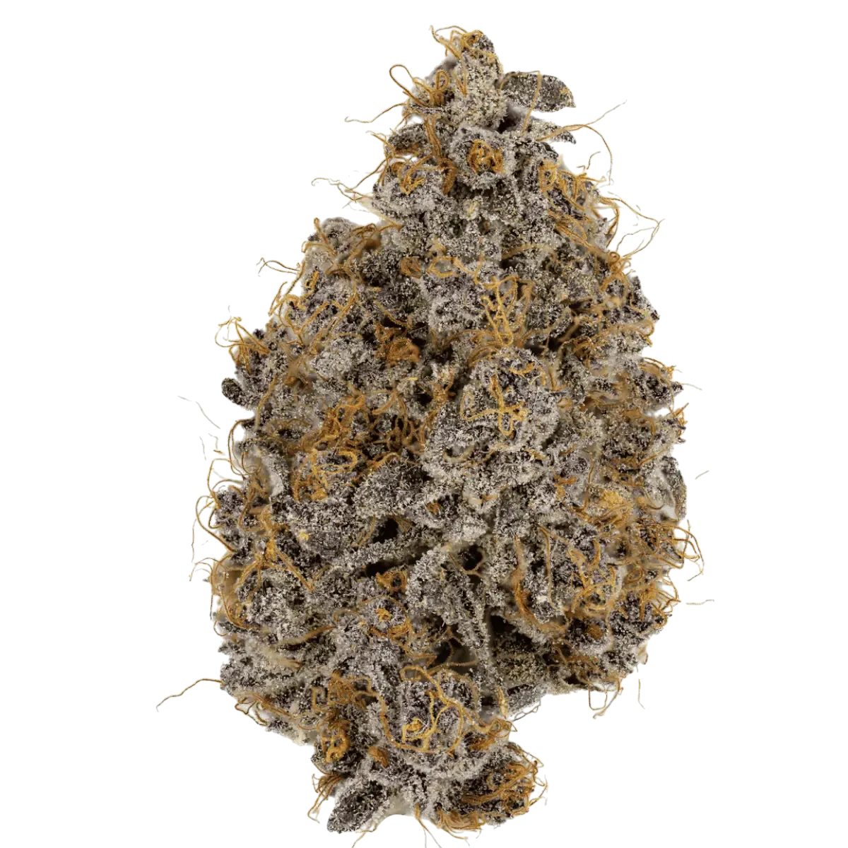 IMC DP THC 22 MIDS Deep Plum » Live Bestand