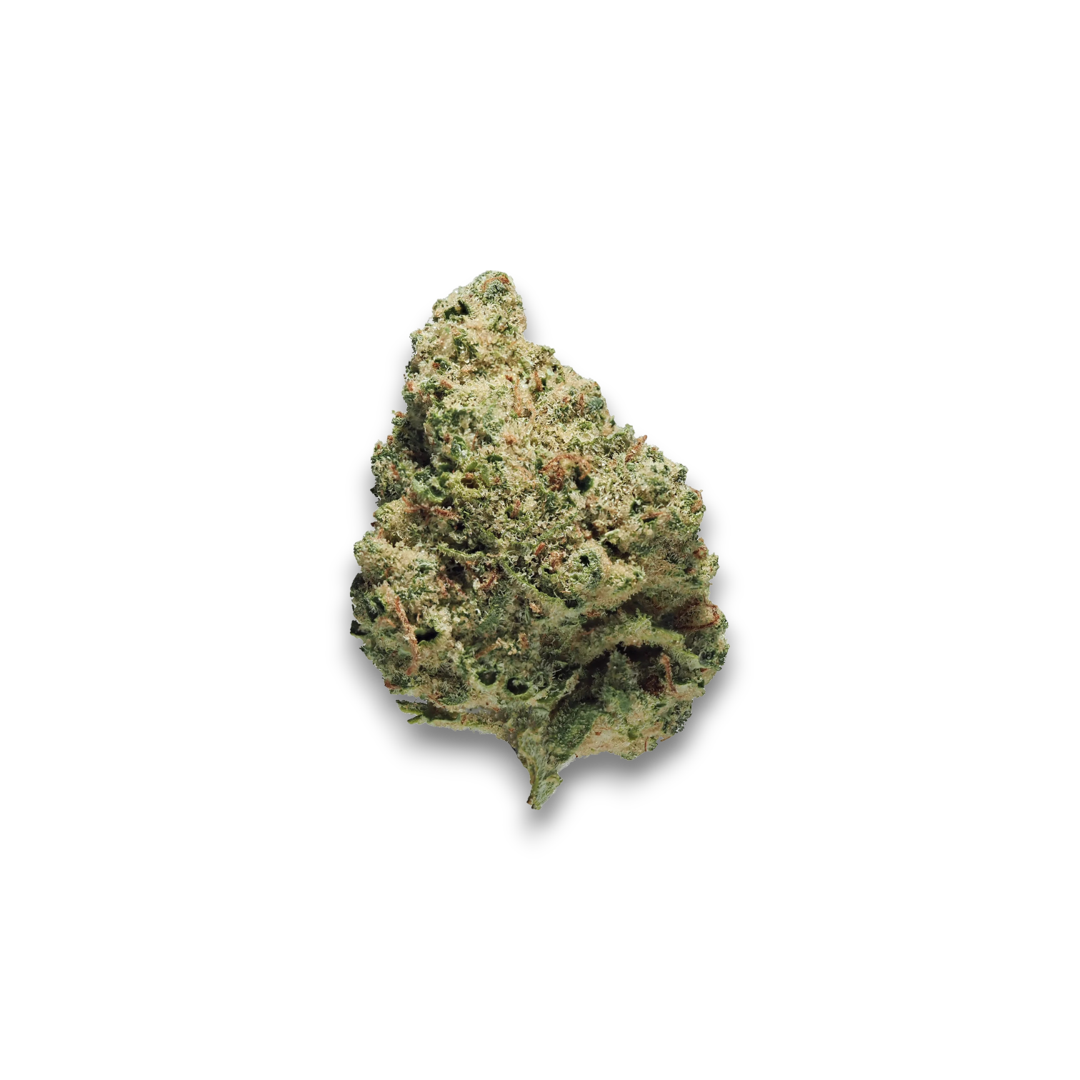 Tilray Craft THC25 BBD » Live Bestand