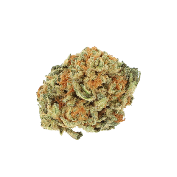 California Orange Strain » Samen, Bewertungen & Anbau